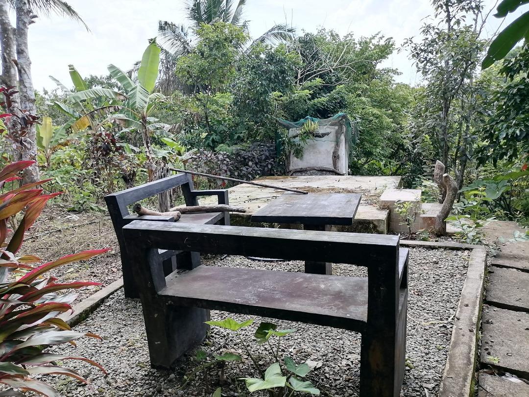 Amadeo Cavite Farm Lot with house 1.1 hectares P3,000/sqm Clean Title ...