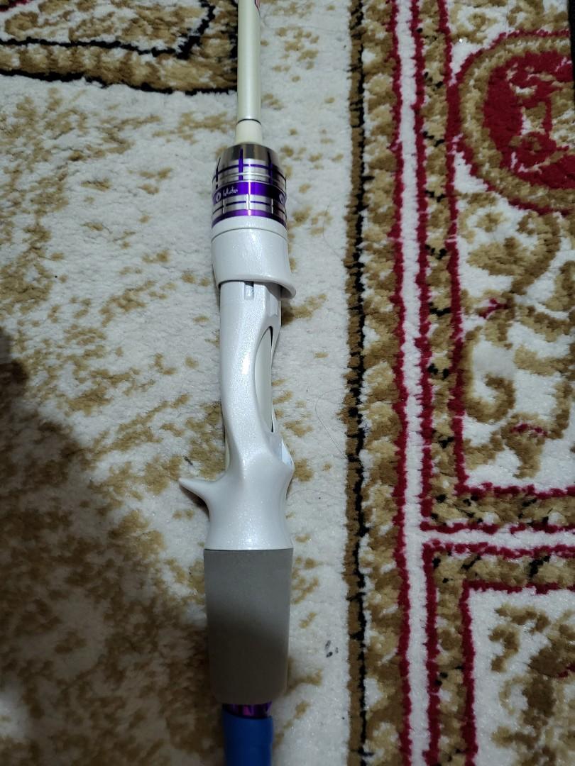 Bibi gun fishing rod, Sports Equipment, Fishing on Carousell