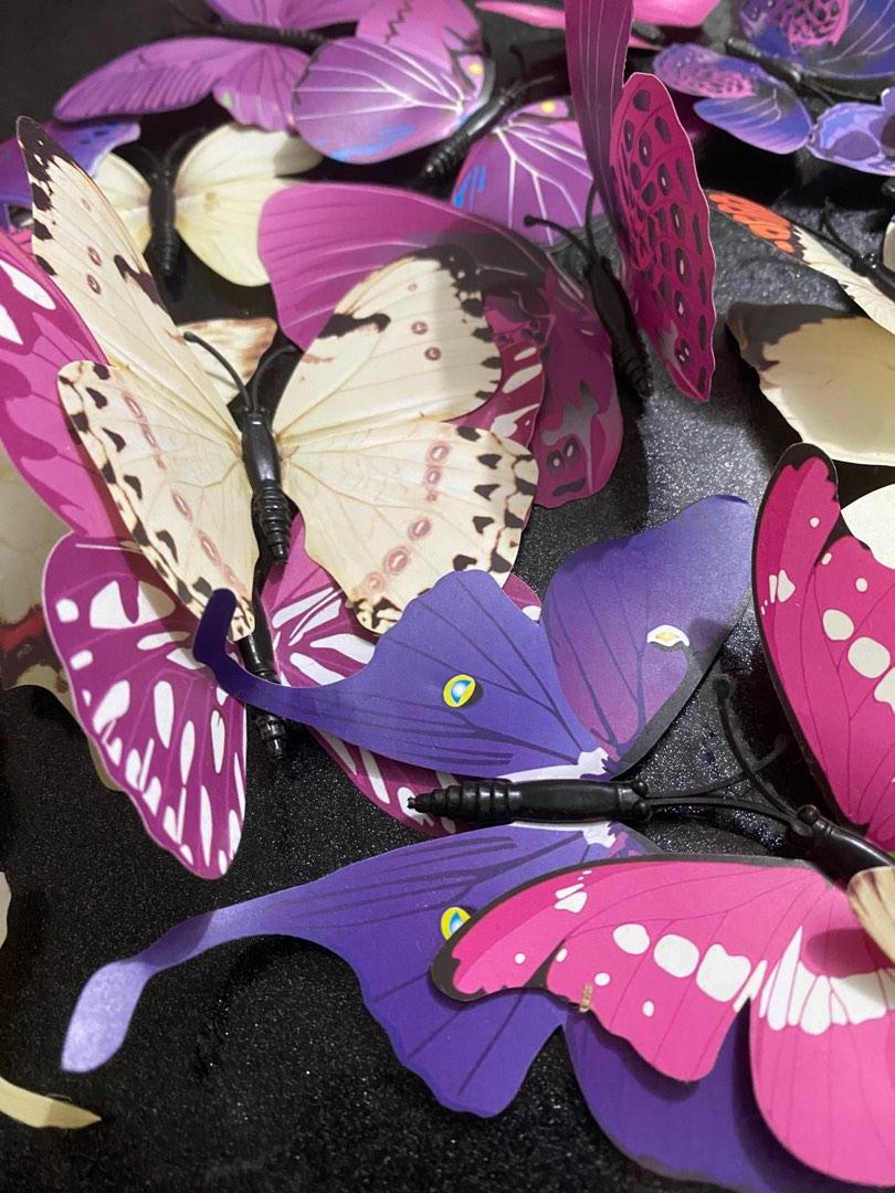 Butterfly Ref Magnet, Hobbies & Toys, Stationary & Craft, Flowers ...