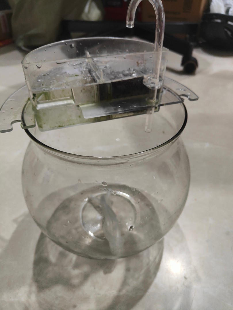 Fish Bowl with Overhead Filter Box, Pet Supplies, Homes & Other Pet ...