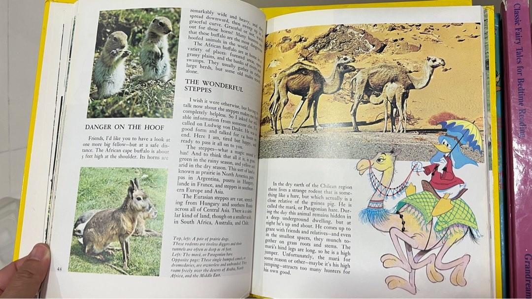 Grolier Wonderful World of Knowledge Series, Hobbies & Toys, Books ...