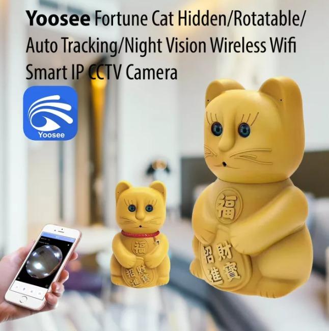 cat spy camera
