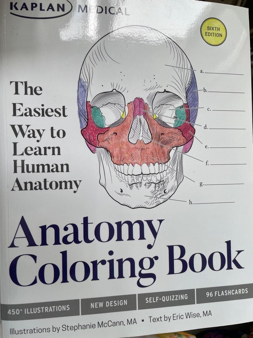 Anatomy Colouring Book, Hobbies & Toys, Books & Magazines, Assessment ...