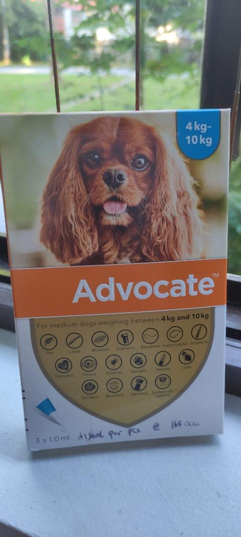 Bayer Advocate Flea and Heartworm Treatment for Dogs (4 - 10kg), Pet ...
