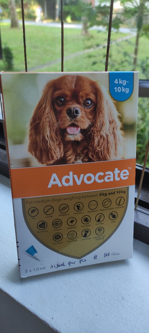 Bayer Advocate Flea and Heartworm Treatment for Dogs (4 - 10kg), Pet ...