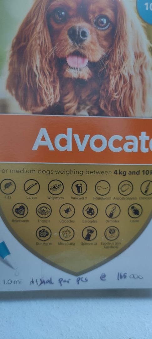 Bayer Advocate Flea and Heartworm Treatment for Dogs (4 - 10kg), Pet ...