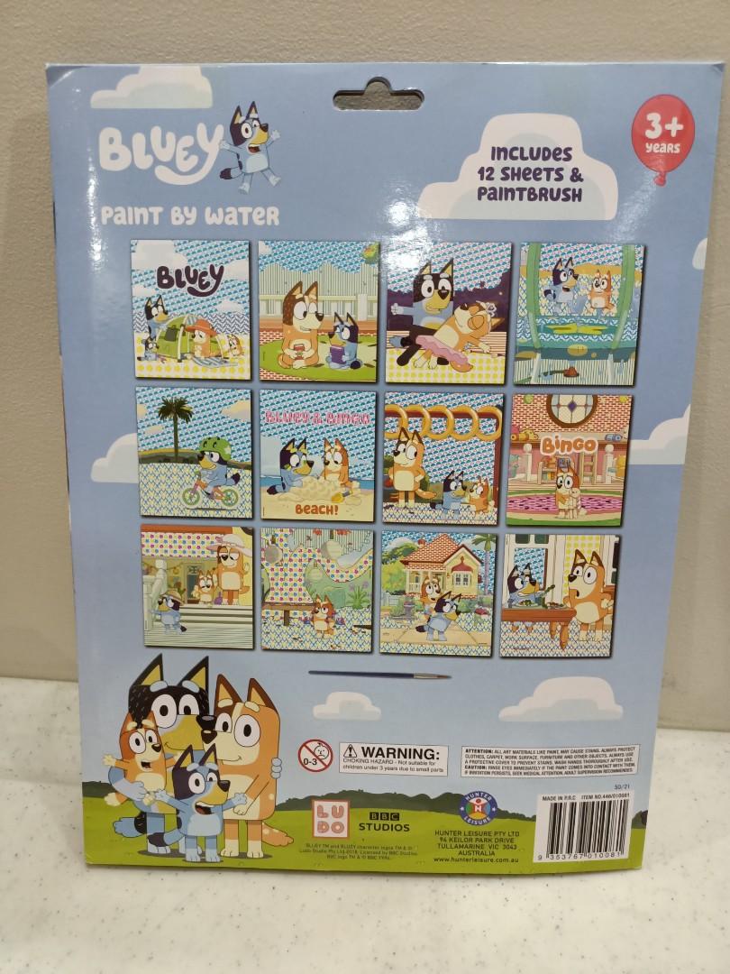 Bluey Paint by Water Activity Set, Hobbies & Toys, Stationary & Craft ...
