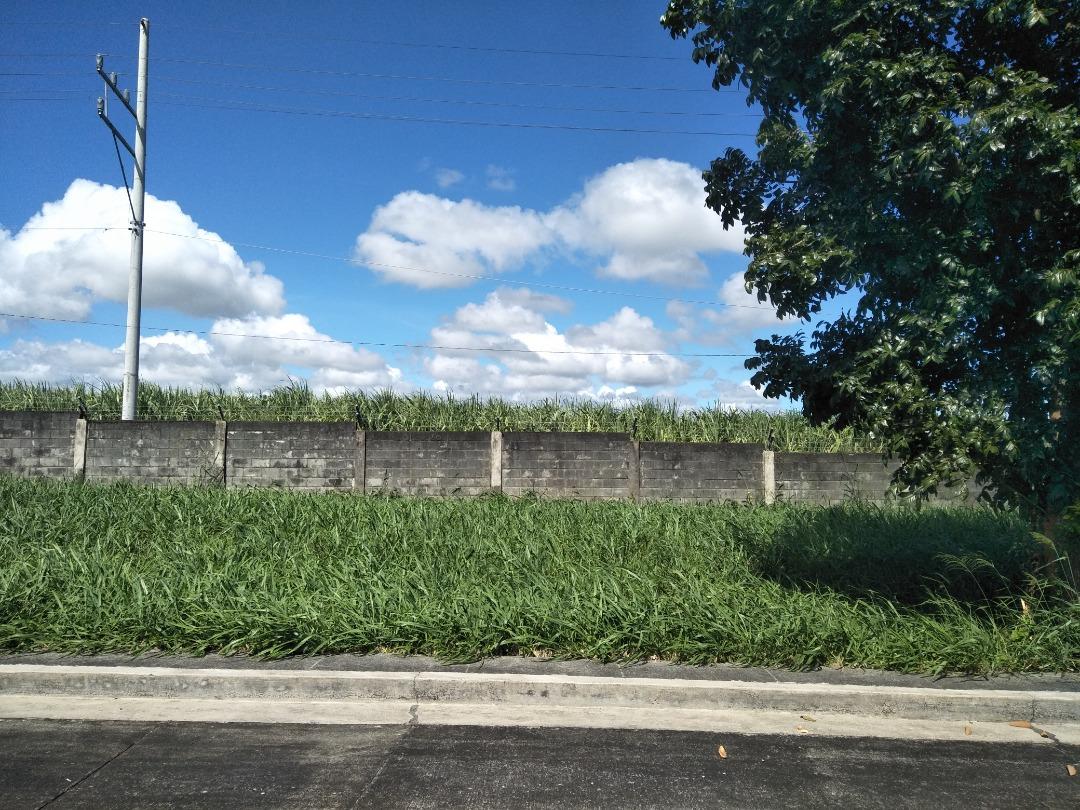 Carmel Ridge, Calamba Laguna, Property, For Sale, Lot on Carousell