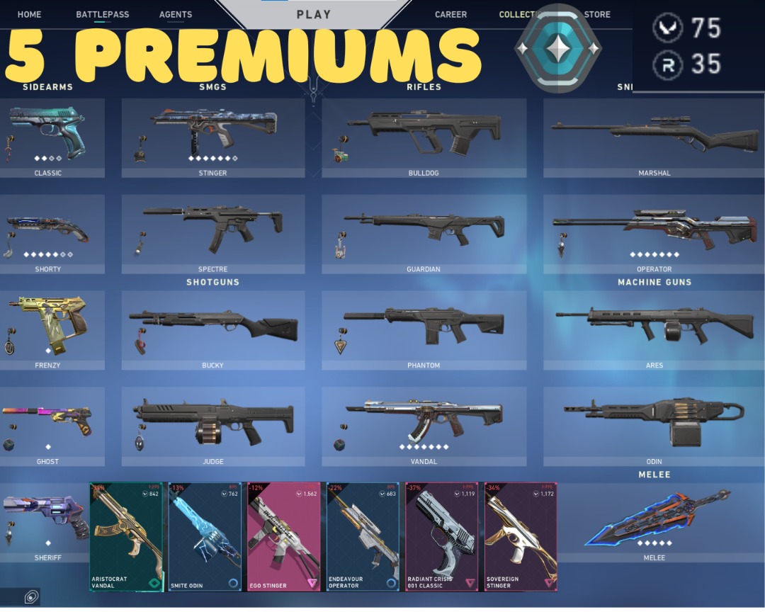 CHAOS BUNDLE 5 PREMIUM SKINS VALORANT ACCOUNT//CHEAPEST, Video Gaming ...