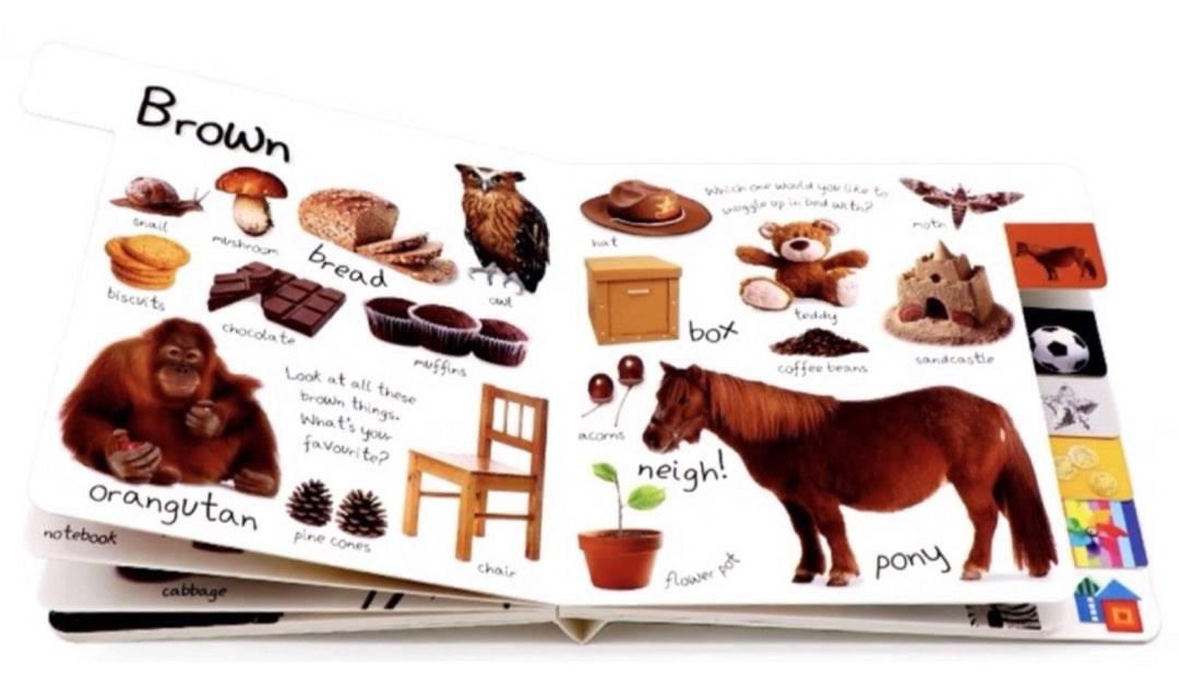 DK My First Series Board Books, Hobbies & Toys, Books & Magazines ...