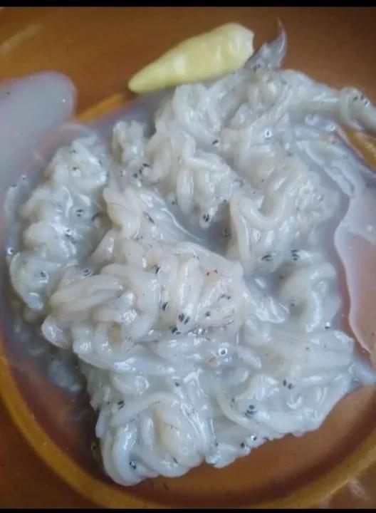 JGSC GINAMOS TUGNOS, Food & Drinks, Other Food & Drinks on Carousell