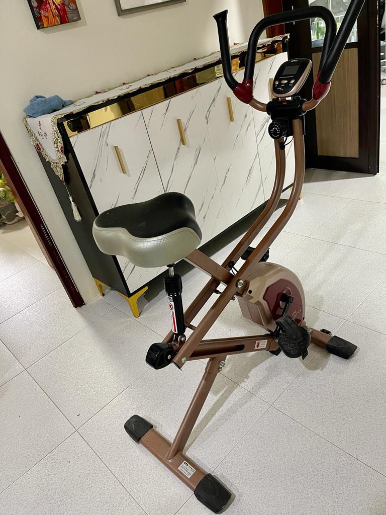 OTO Row Bike, Sports Equipment, Exercise & Fitness, Cardio & Fitness ...