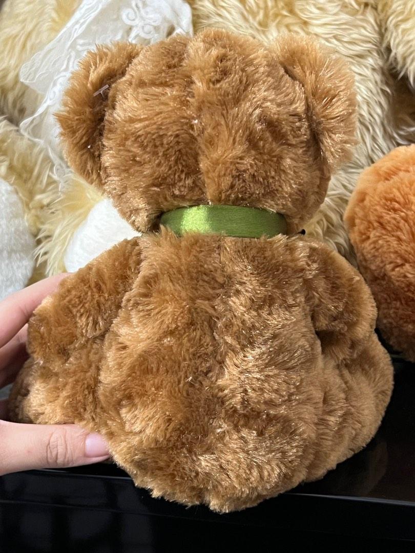 Teddy bear Softtoy, Hobbies & Toys, Toys & Games on Carousell