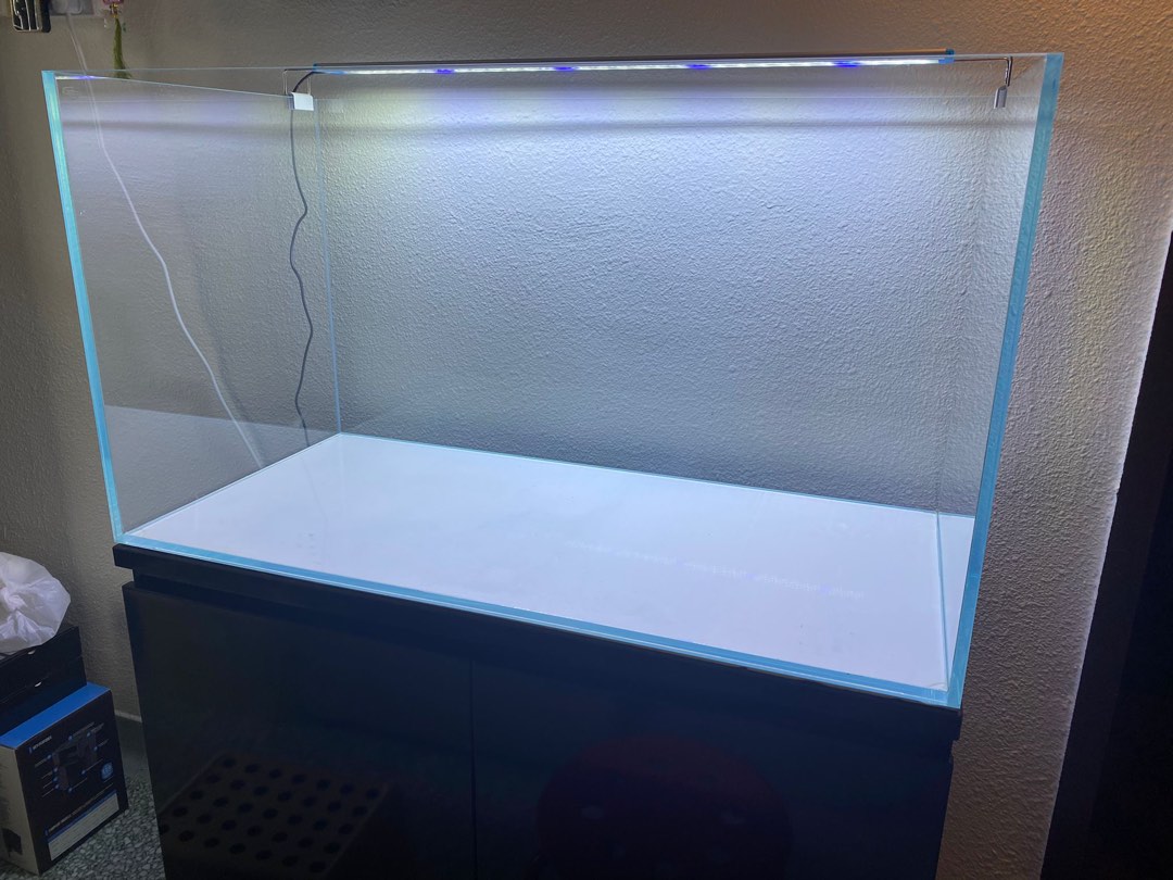 Dymax Crystal Glass Aquarium Tank, Pet Supplies, Homes & Other Pet ...