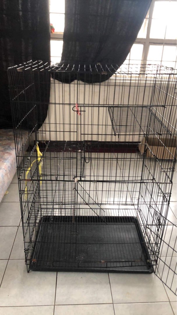 Four tier cat cage, Pet Supplies, Homes & Other Pet Accessories on ...