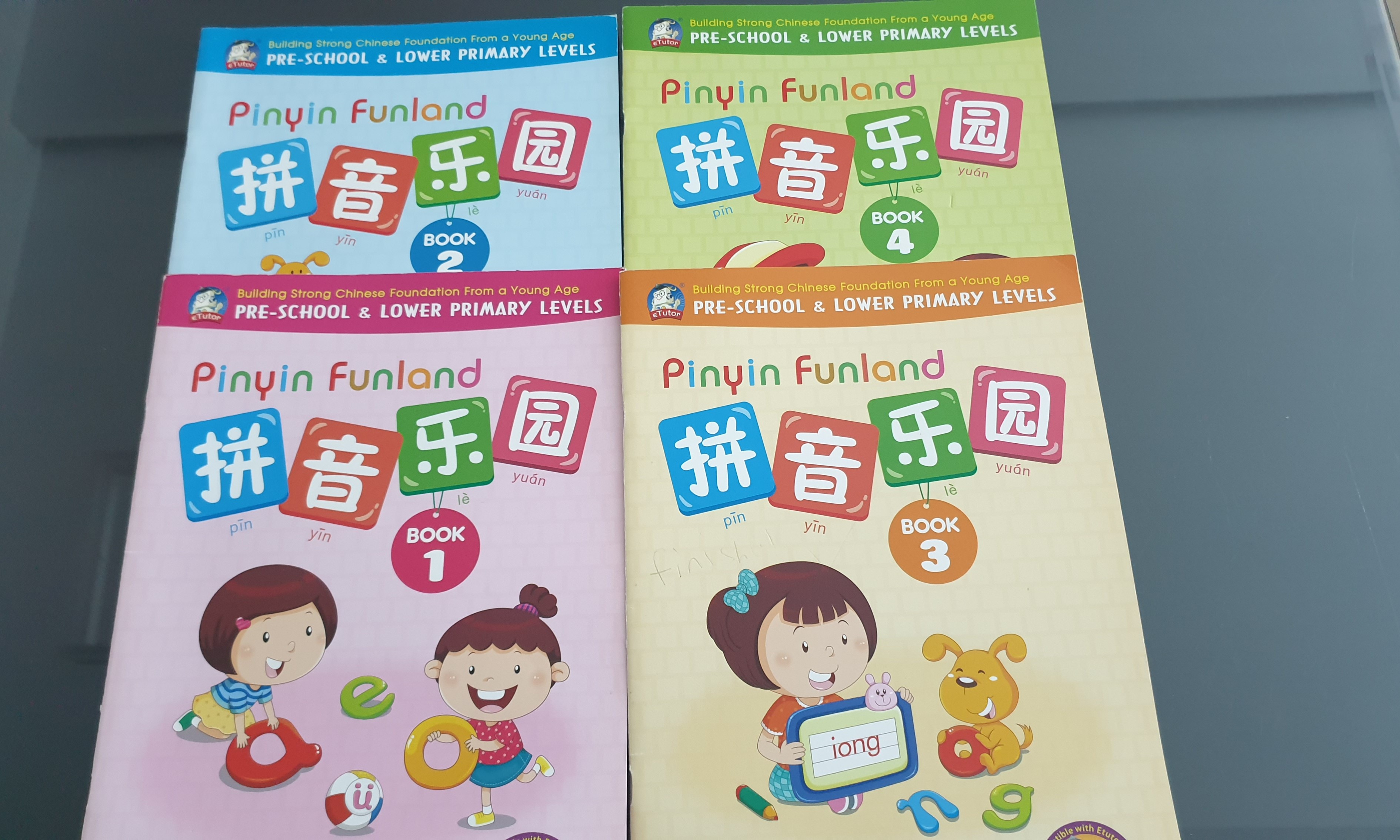 Hanyu pinyin chinese enrichment assessment book, Hobbies & Toys, Books ...