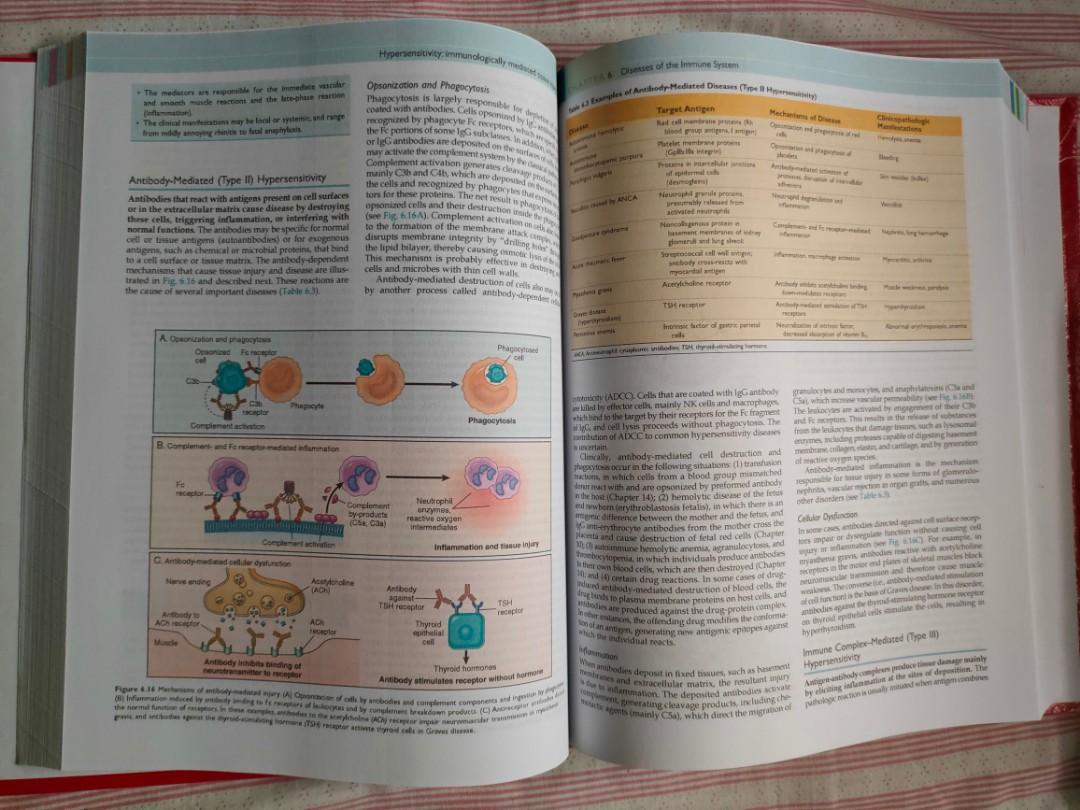 Robbins & Cotran Pathologic Basis of Diseases 10th Edition (Hardbound), Hobbies & Toys, Books ...
