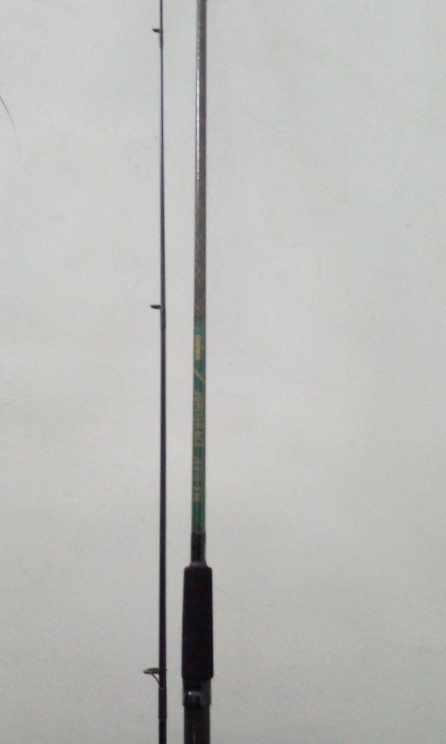 Rod Daiwa jupiter, Hobbies & Toys, Stationery & Craft, Other Stationery ...