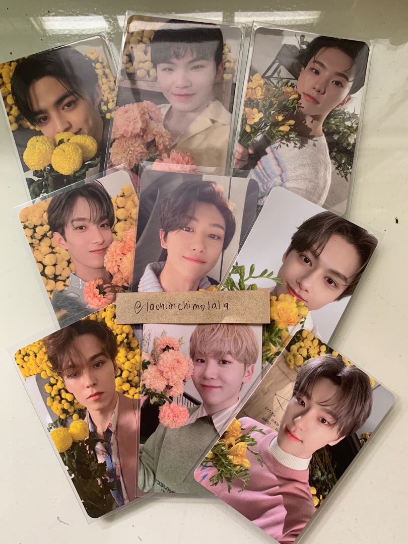 Seventeen Your Choice One Side Photocards Dangwa Set, Hobbies & Toys, Memorabilia & Collectibles ...