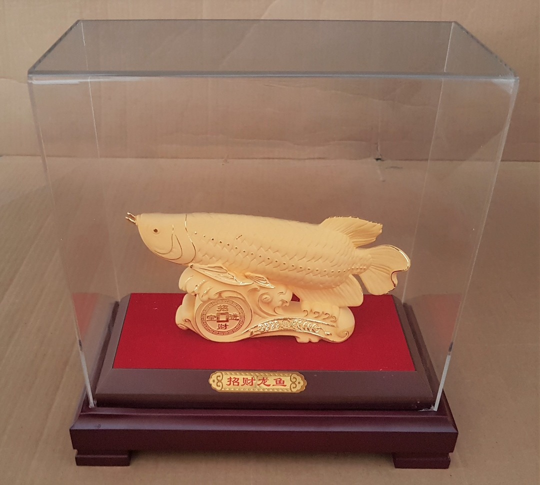 Symbol of Prosperity, Glass Display of an Arowana, Welcome Wealth ...