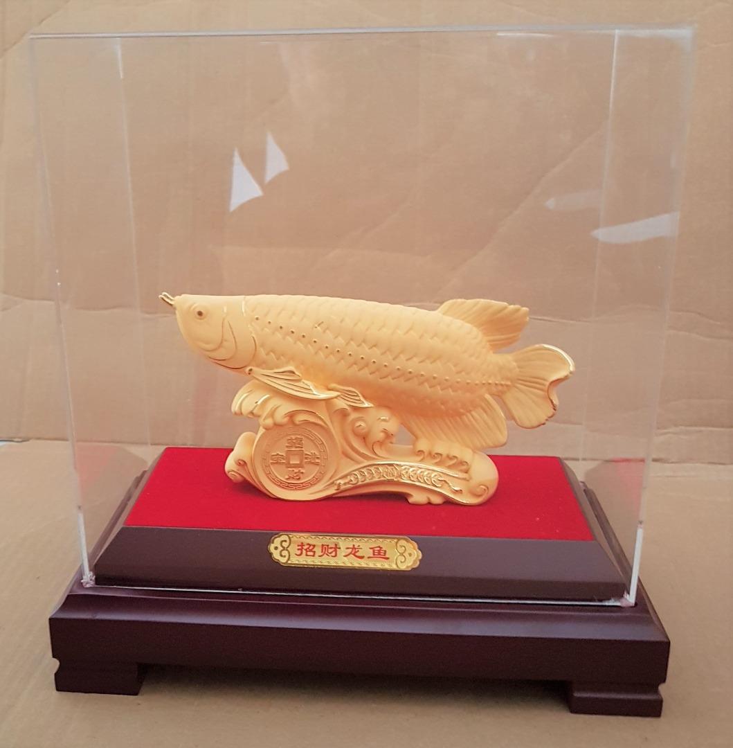 Symbol of Prosperity, Glass Display of an Arowana, Welcome Wealth ...