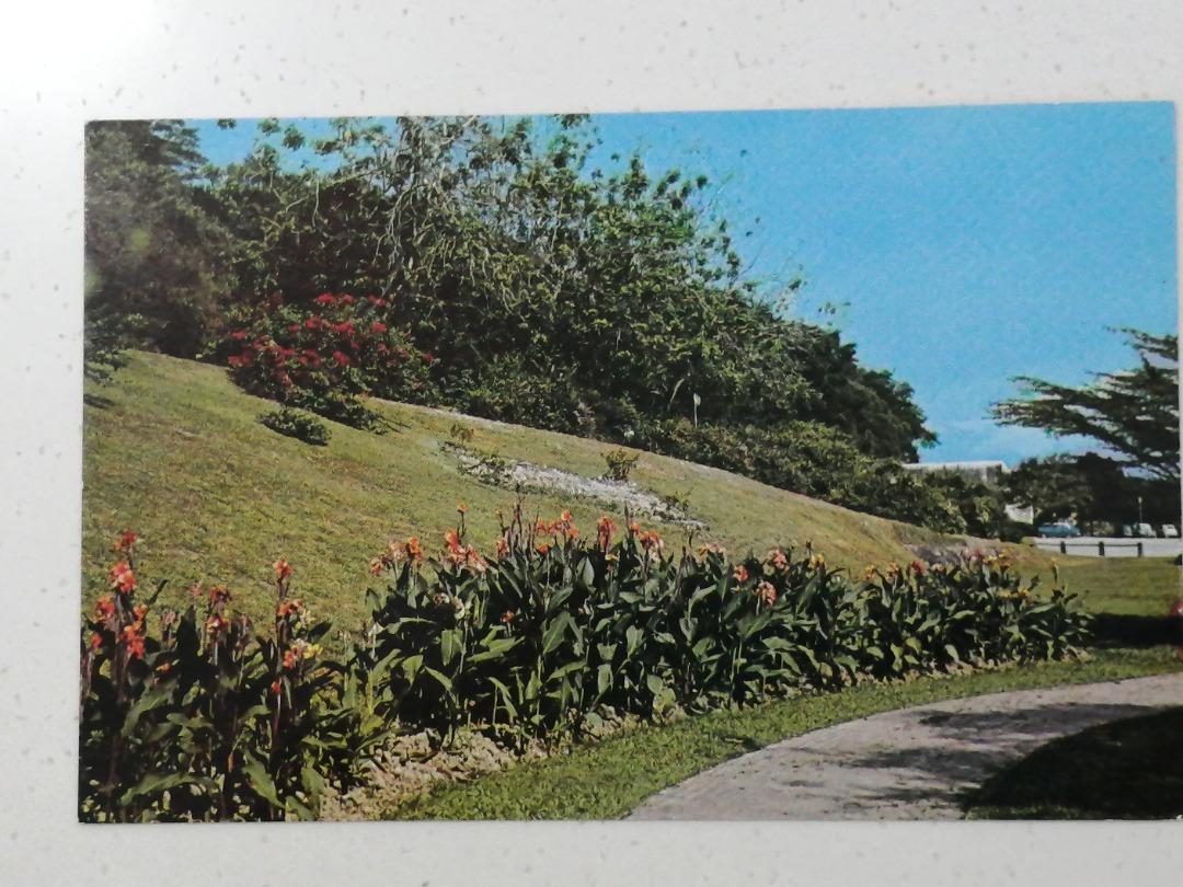 1970s Fort Canning Park (aka King George V Park) Along River Valley ...