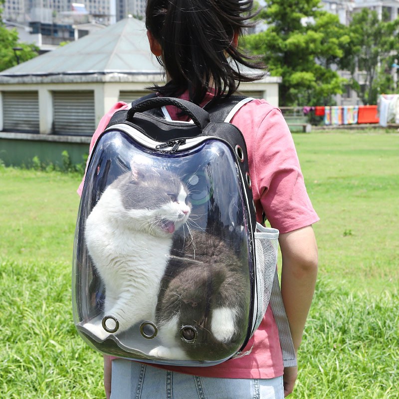 Beg Galas Kucing Cat Carrier, Pet Supplies, Homes & Other Pet ...