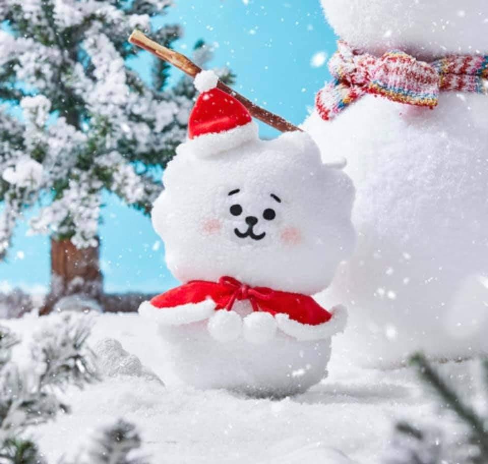 BT21 RJ Christmas Dolls (Set only), Hobbies & Toys, Memorabilia ...