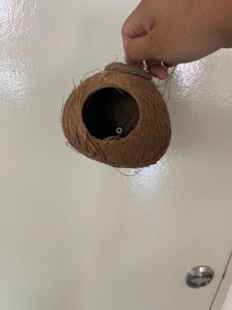 Coconut husk - can fix on cage, Pet Supplies, Homes & Other Pet ...