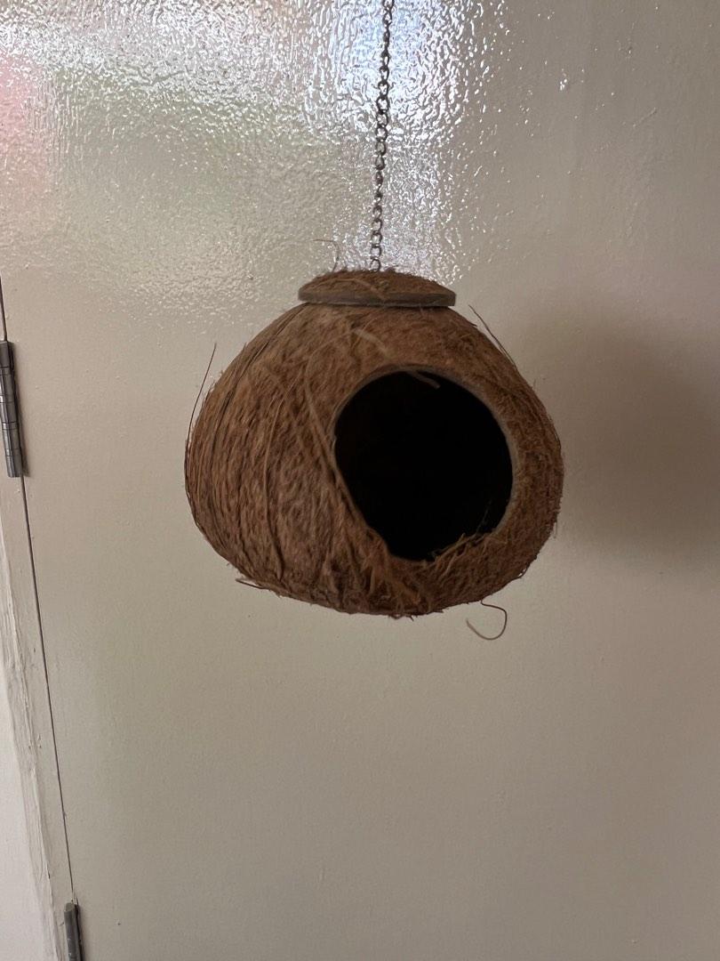 Coconut husk - can fix on cage, Pet Supplies, Homes & Other Pet ...
