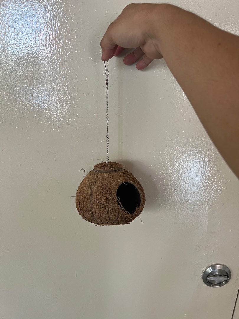 Coconut husk - can fix on cage, Pet Supplies, Homes & Other Pet ...