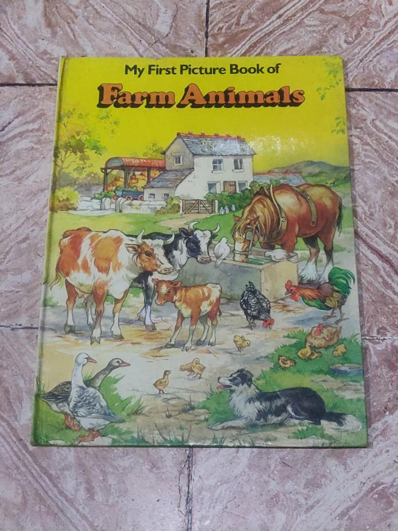 Informational books for Children, Hobbies & Toys, Books & Magazines ...