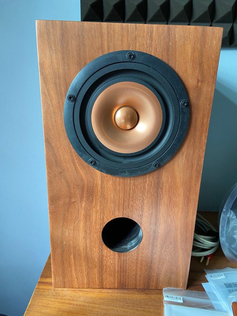 Mark Audio 11ms Full range custom speaker pair, Audio, Soundbars ...