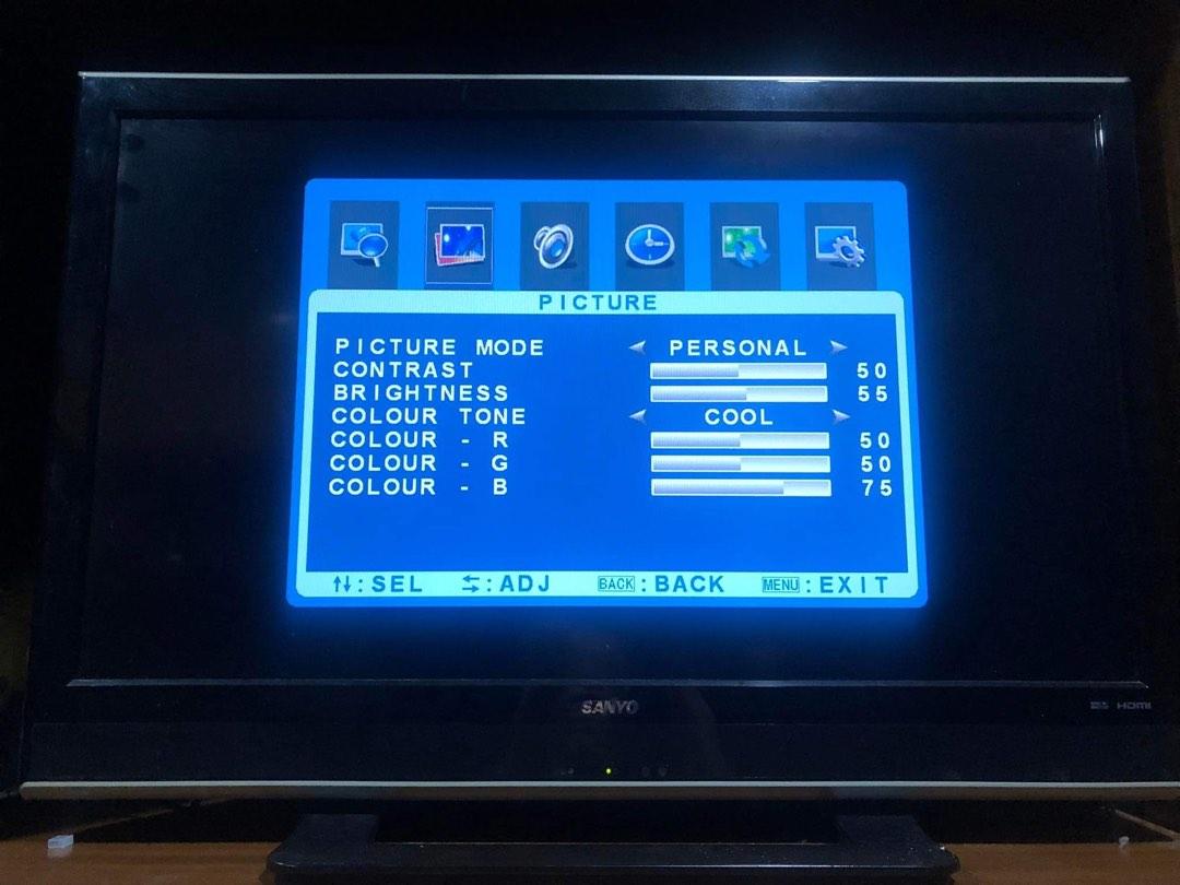 Sanyo 43in HDMI Flat Screen TV (no damage/no issue), TV & Home ...