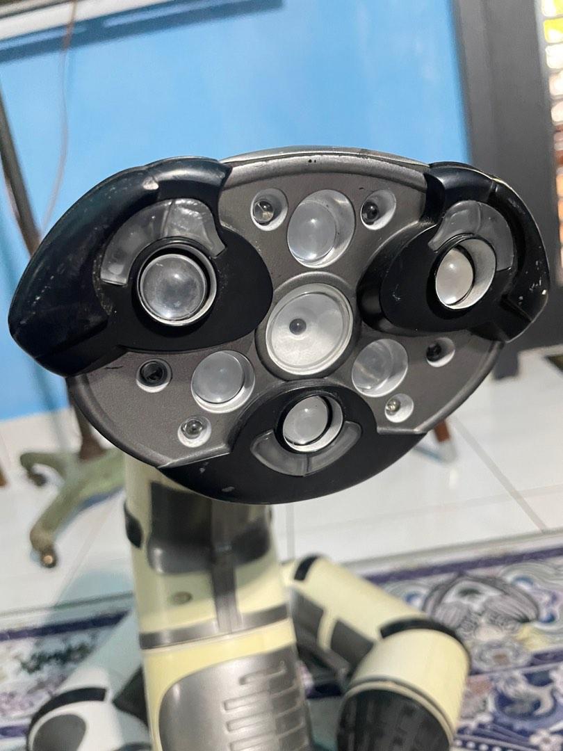 Vintage Classic Roboboa .. Snake Robot .. Big Size, Hobbies & Toys ...