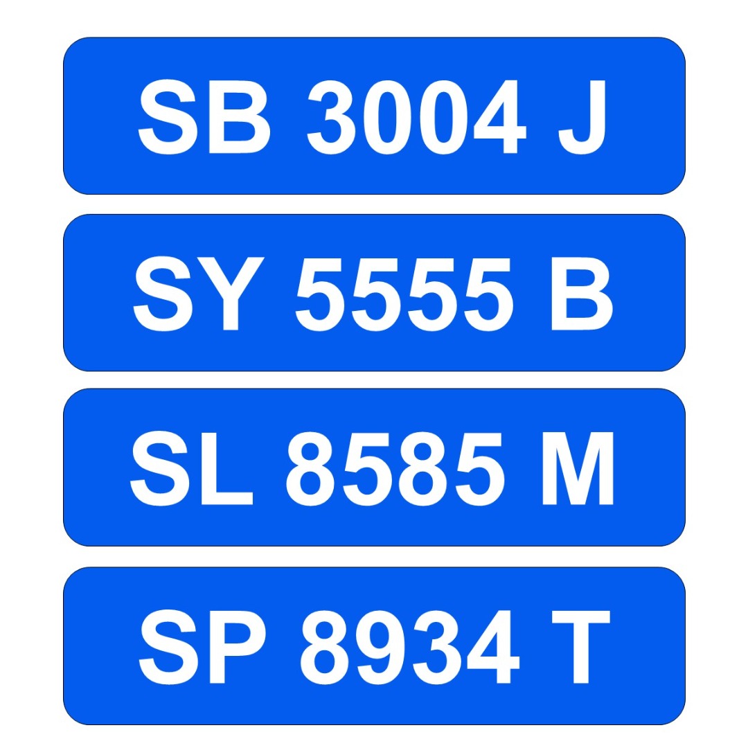 Vintage Huat Car Number Plate for Sale: 3004, 5555, 8585, 8934, Car ...