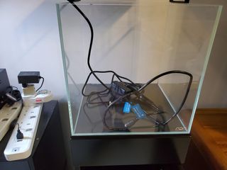 Chihiros Doctor Ista Glass Skimmer Lily Pipe Eheim Skim 350 Skimmer ANS Stainless Steel, Pet ...