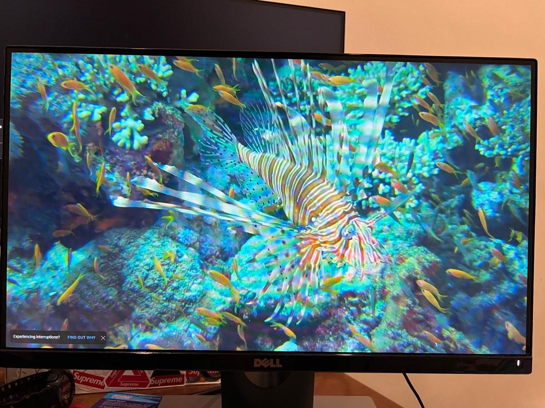 Dell Full HD 22inch LED Monitor with build in speaker, Computers & Tech ...