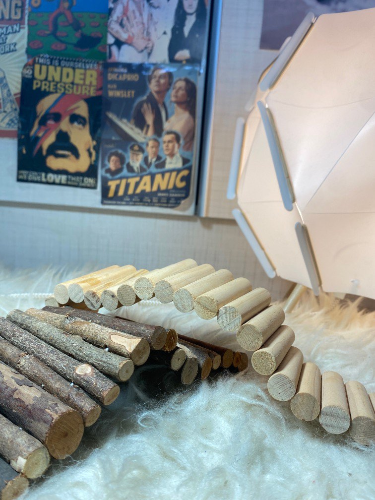 Hamster Wooden Bendy bridge + log bridge, Pet Supplies, Homes & Other ...