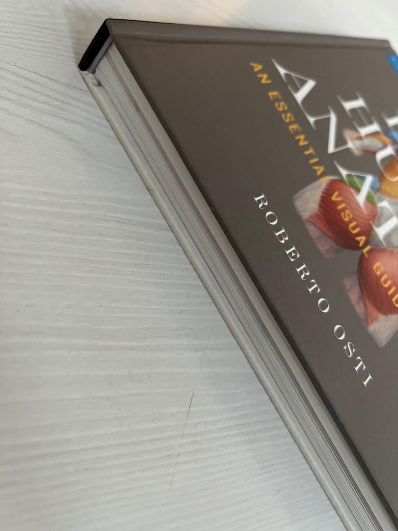 Hardbound: Basic Human Anatomy for Artists, Hobbies & Toys, Books ...