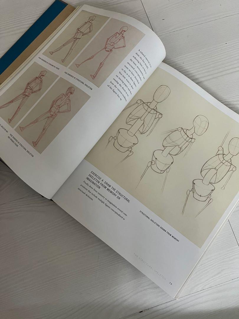 Hardbound: Basic Human Anatomy for Artists, Hobbies & Toys, Books ...