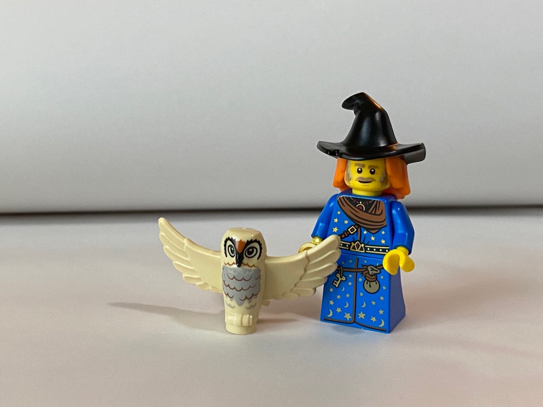 Lego Wizard minifig with owl, Hobbies & Toys, Toys & Games on Carousell