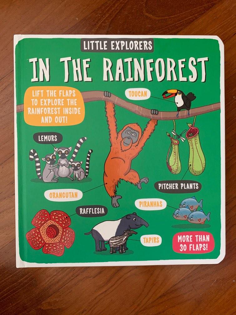 Little Explorers: In the Rainforest, Hobbies & Toys, Books & Magazines ...