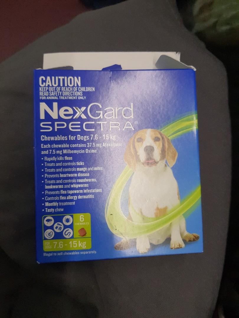 Nexguard 驅蟲 驅蚤 7.6-15kg 狗 驅牛蜱 心絲蟲, 寵物用品, 寵物食品 - Carousell