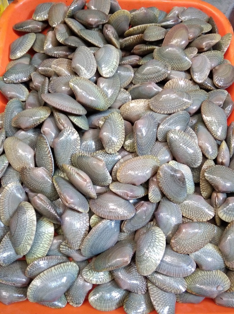 Nylon shell, Food & Drinks, Fresh Produce on Carousell