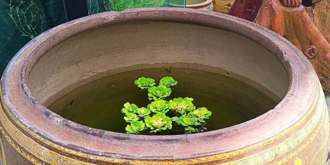 Over 100 year old Buddha motif antique tempayan big size, Hobbies ...