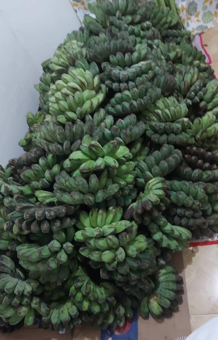 SAGING SABA 25PESOS/KILO, Food & Drinks, Fresh Produce on Carousell