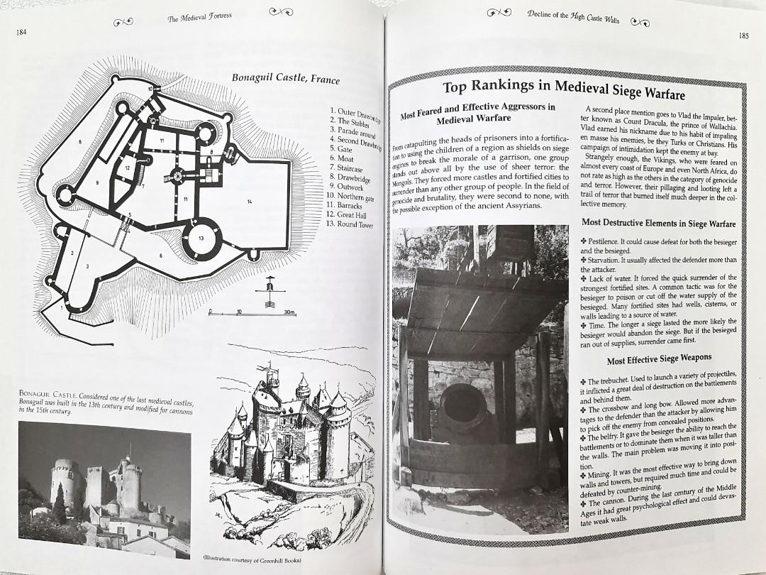 The Medieval Fortress : Castles, Forts and Walled Cities of the Middle ...