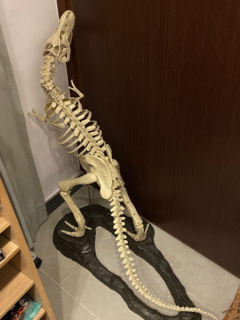 超級巨型 4d 3D 立體拼圖 puzzle 1:8 1/8 GEOREX GEOWORLD DINOSAUR T-REX Rex ...