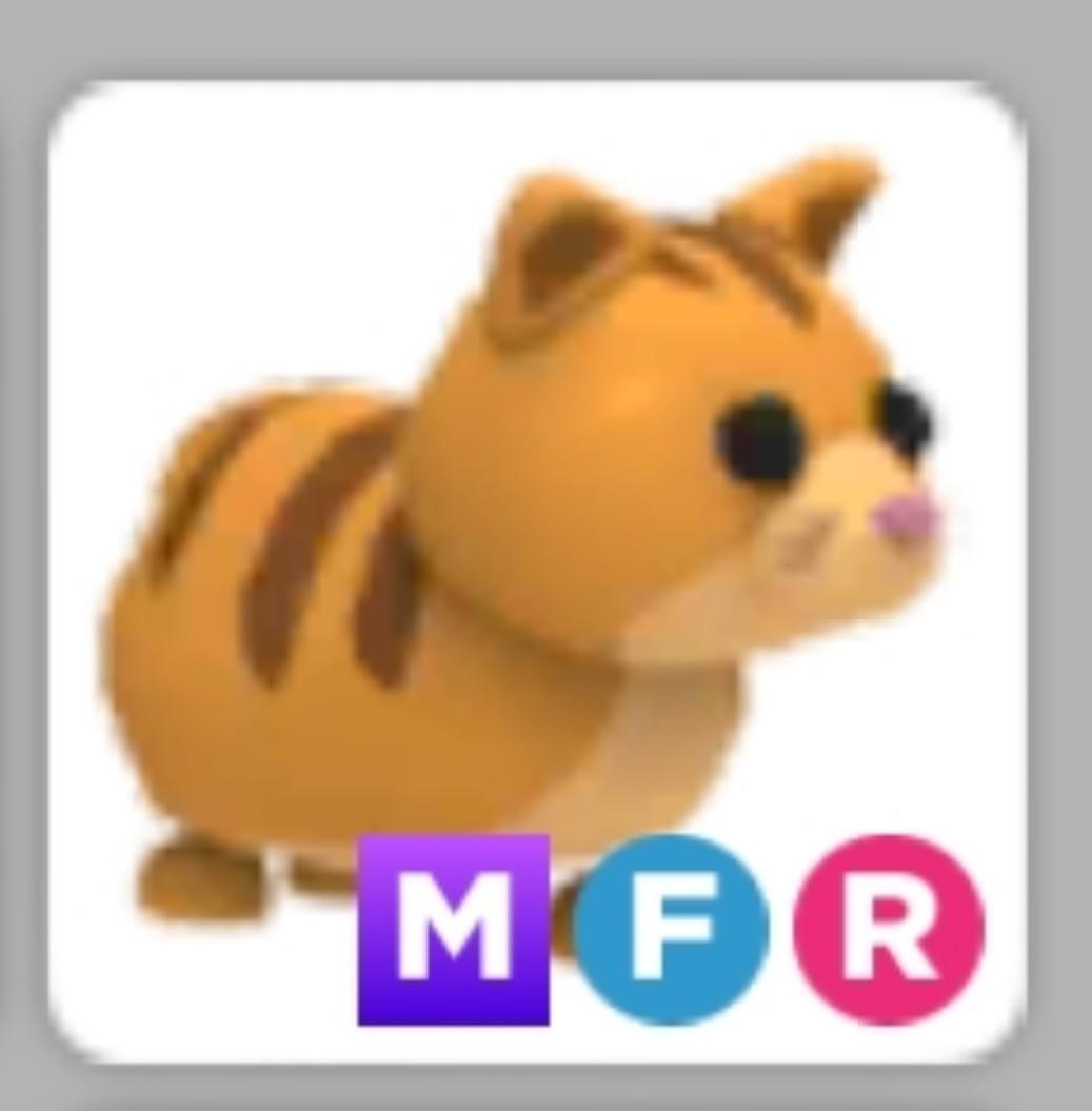 Adopt Me - Mega Neon Fly Ride Ginger Cat, Video Gaming, Video Games ...